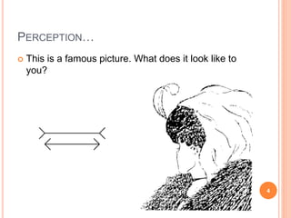 2. Perception.pptx