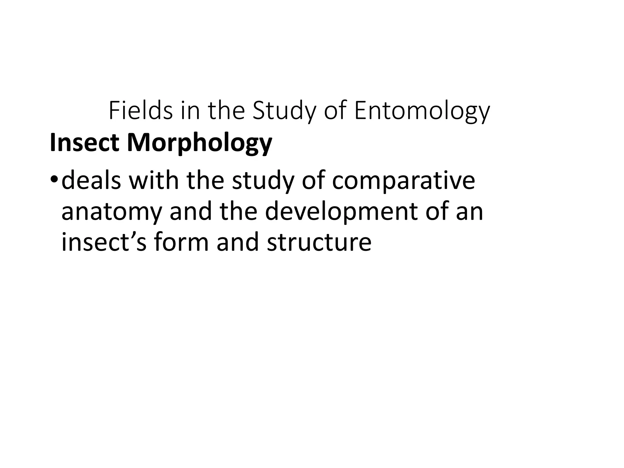 2. INSECT ORDER.pptx