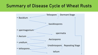 2. Rust and its management.pdf