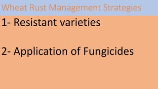 2. Rust and its management.pdf