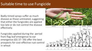 2. Rust and its management.pdf
