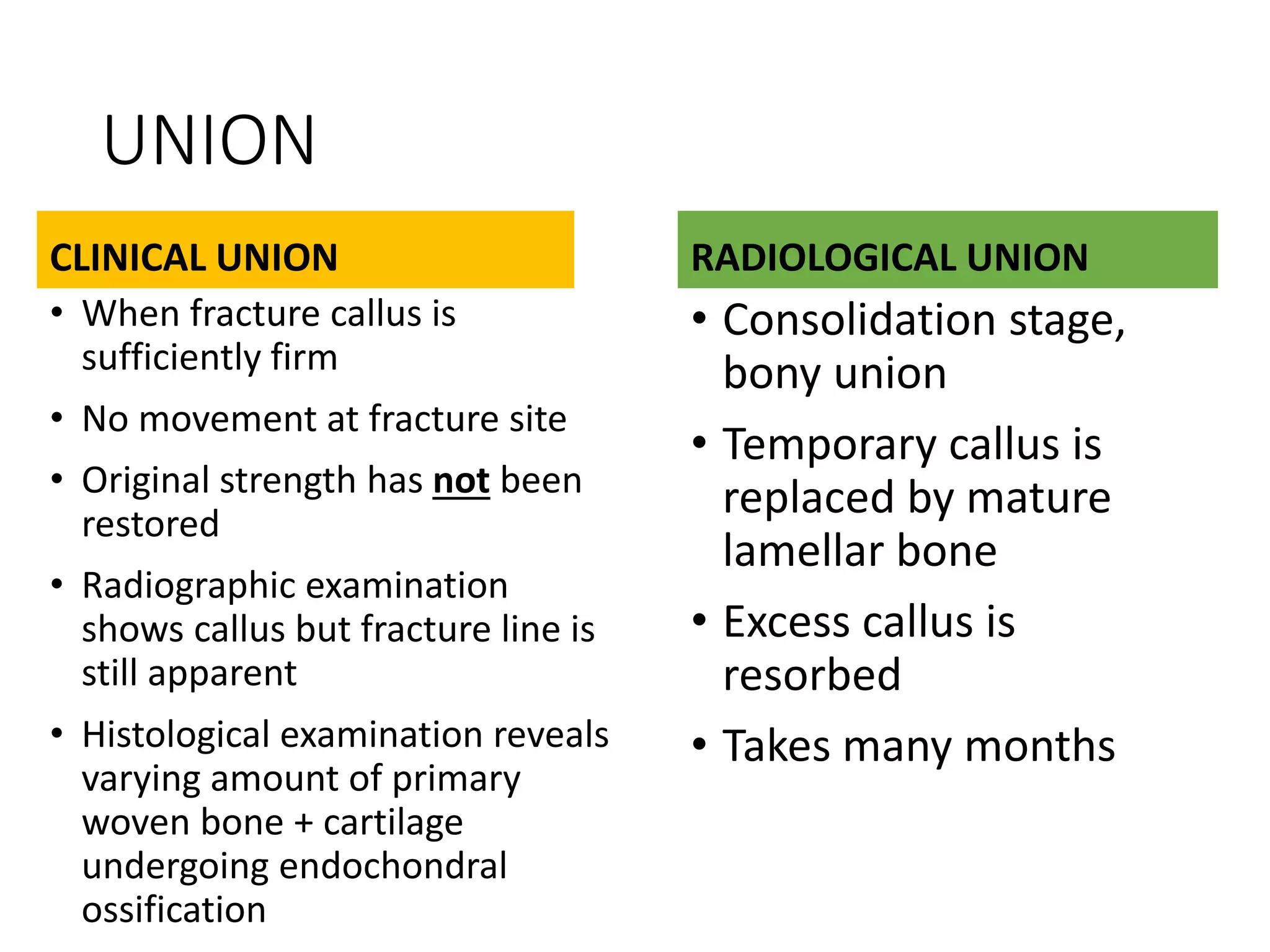 2. Fractures.pptx