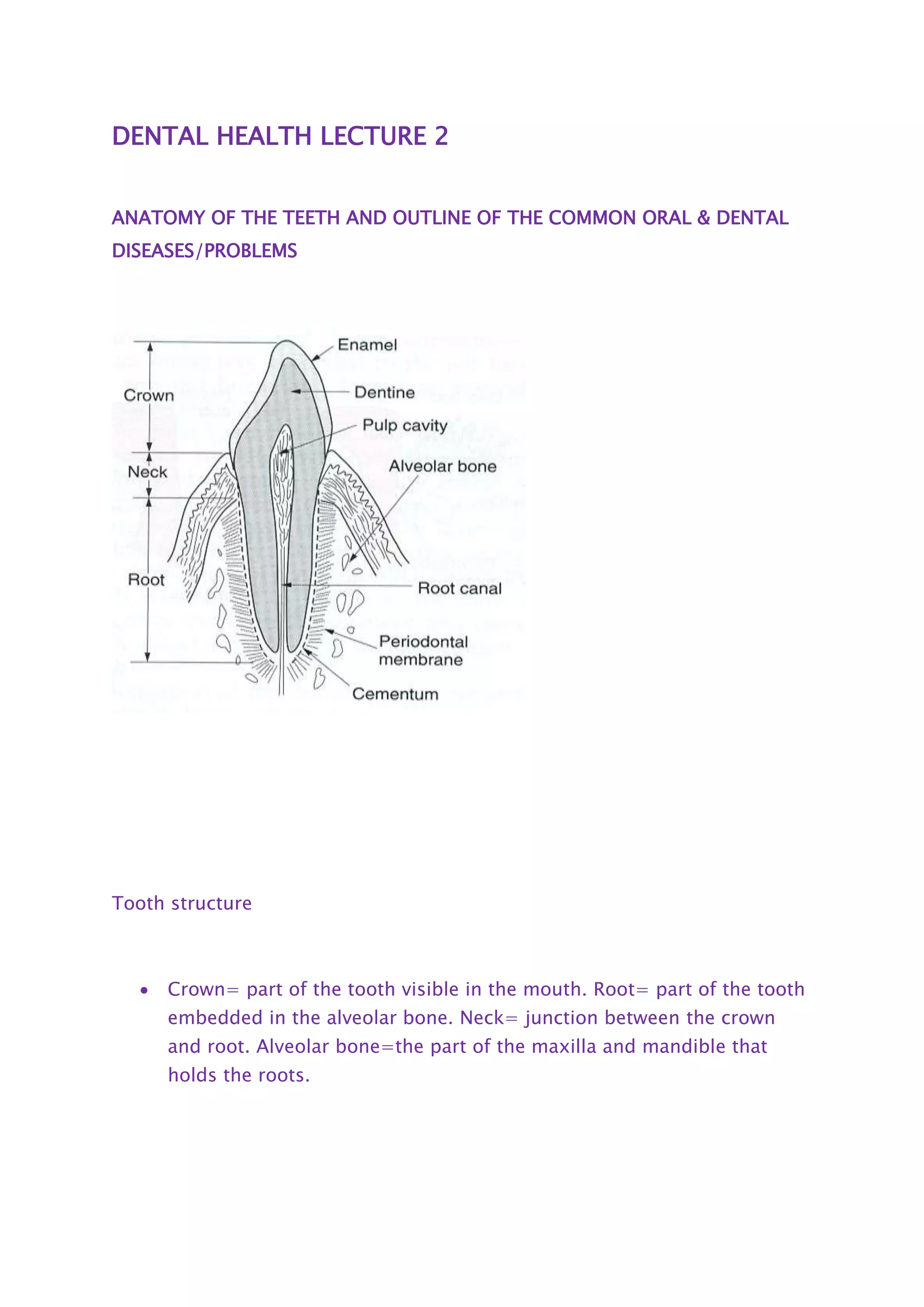 2. ANATOMY OF THE TEETH AND OUTLINE OF THE COMMON ORAL & DENTAL ...