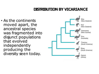 2. Distribution_ppt.pptx