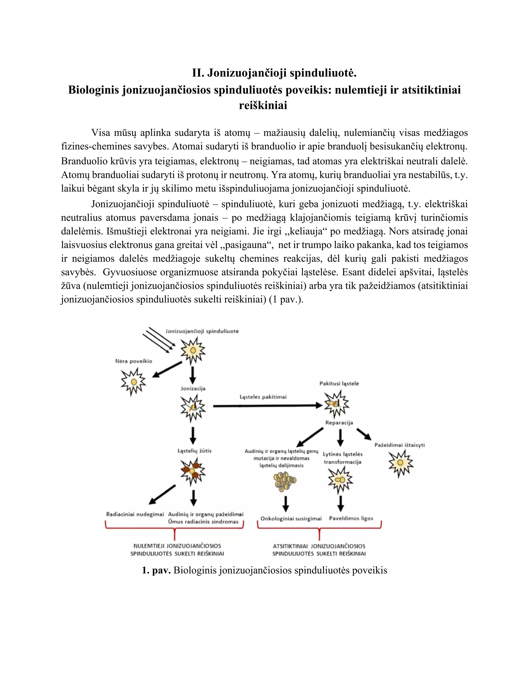II. Jonizuojančioji spinduliuotė. Biologinis jonizuojančiosios ...