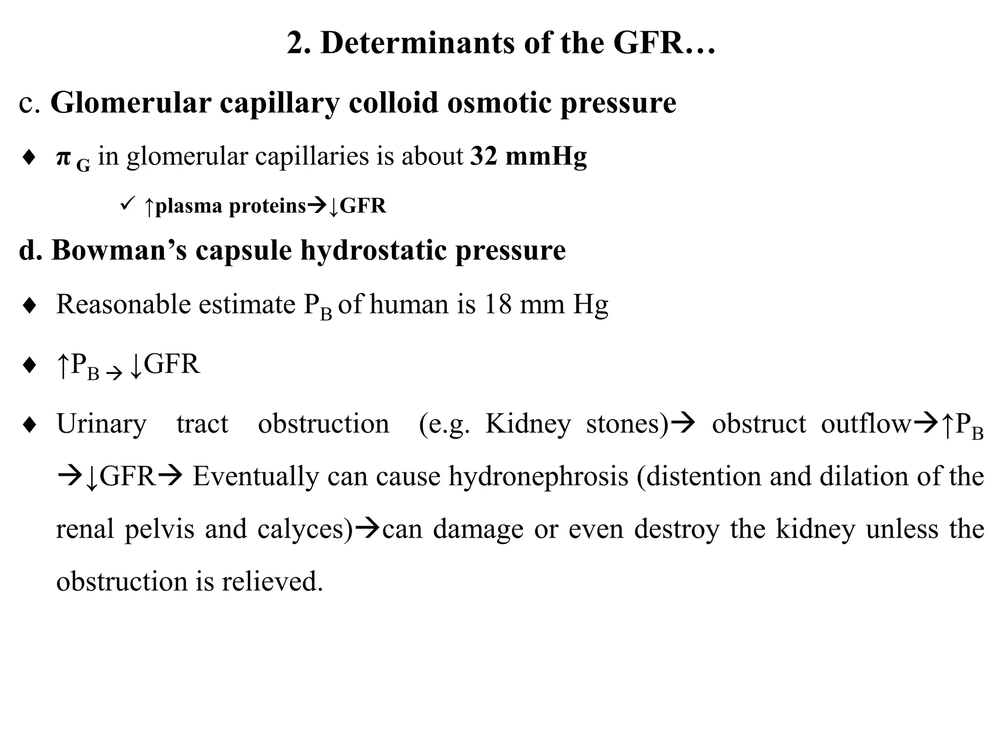 2. Urinary system physiology.pptx