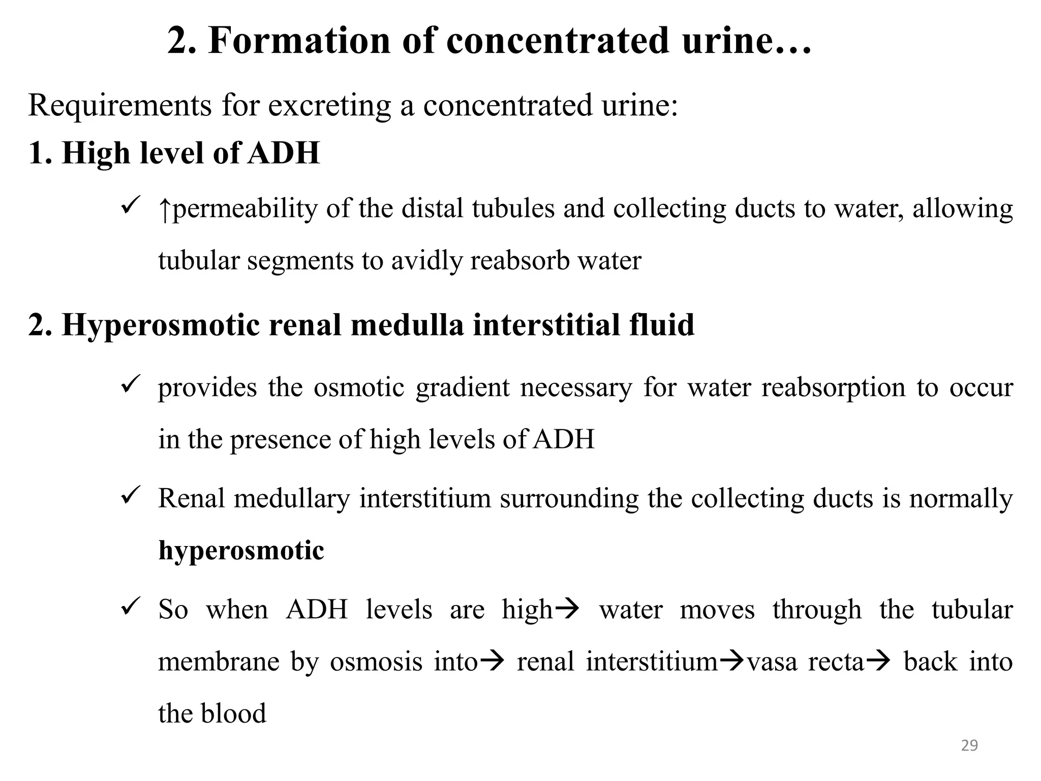 2. Urinary system physiology.pptx