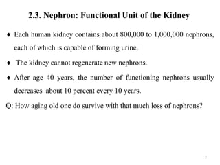 2. Urinary system physiology.pptx