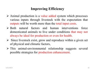 2.7 Livestock Production Efficiency.pptx