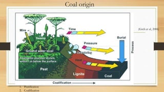 2. Coal Definition and Scope.pptx