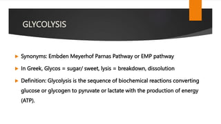 2. Glycolysis.pptx