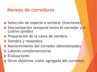 2.- ING. ALEJANDRO DEL POZO - EXPERIENCIAS EN EL MANEJO DE CORREDORES ...