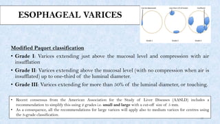 2. PORTAL HYPERTENSION | PPT