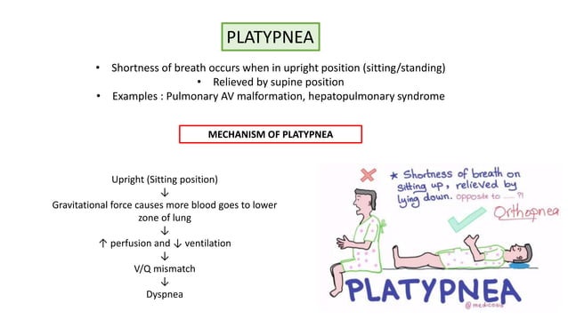 2. TYPES OF DYSPNEA.pptx