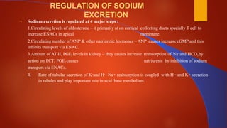 2. Electrolyte balance and Na metabolism.pptx