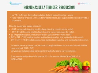 2. Presentación tiroides.pdf