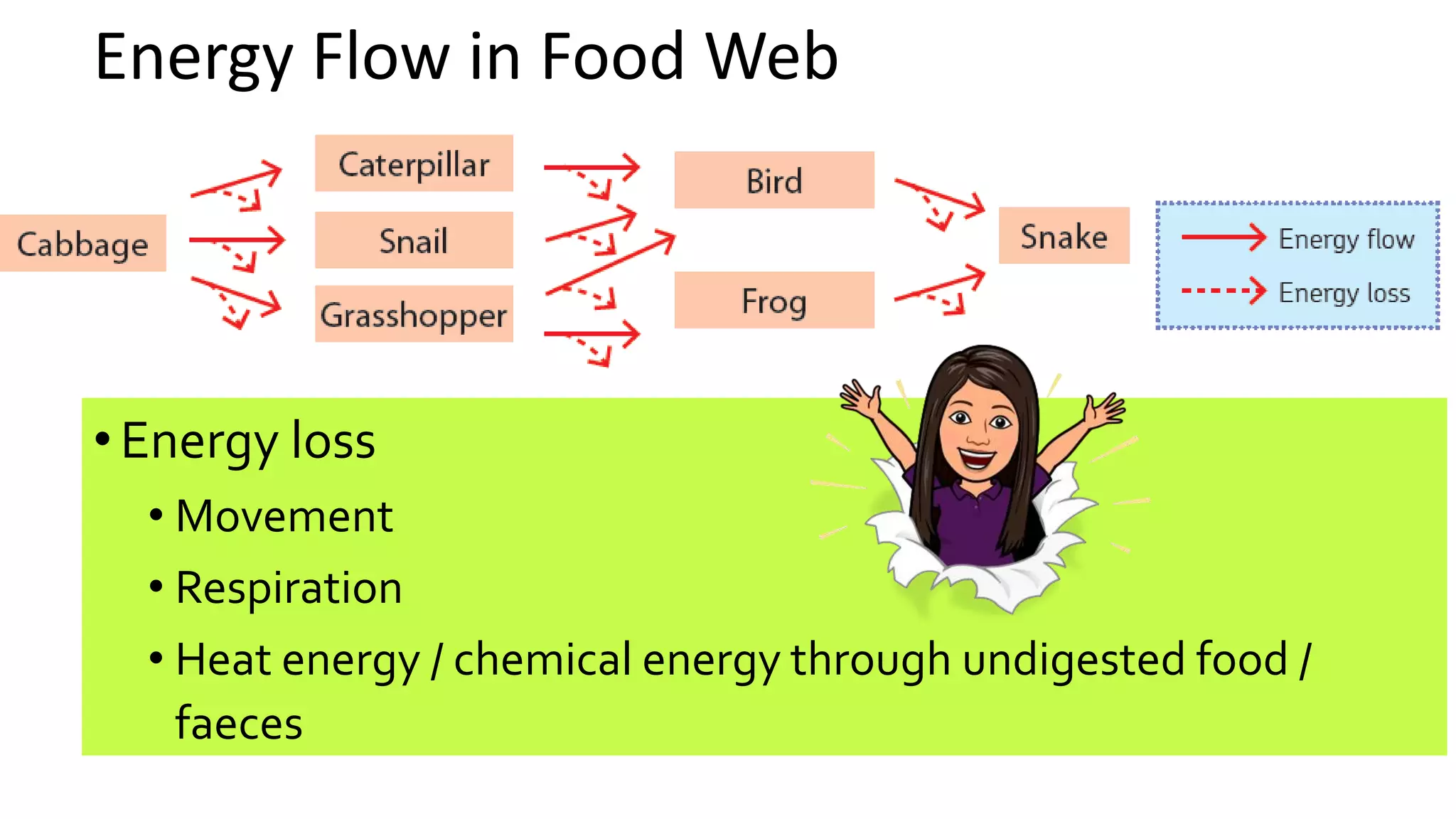 2.1 Energy Flow in an Ecosystem.pptx