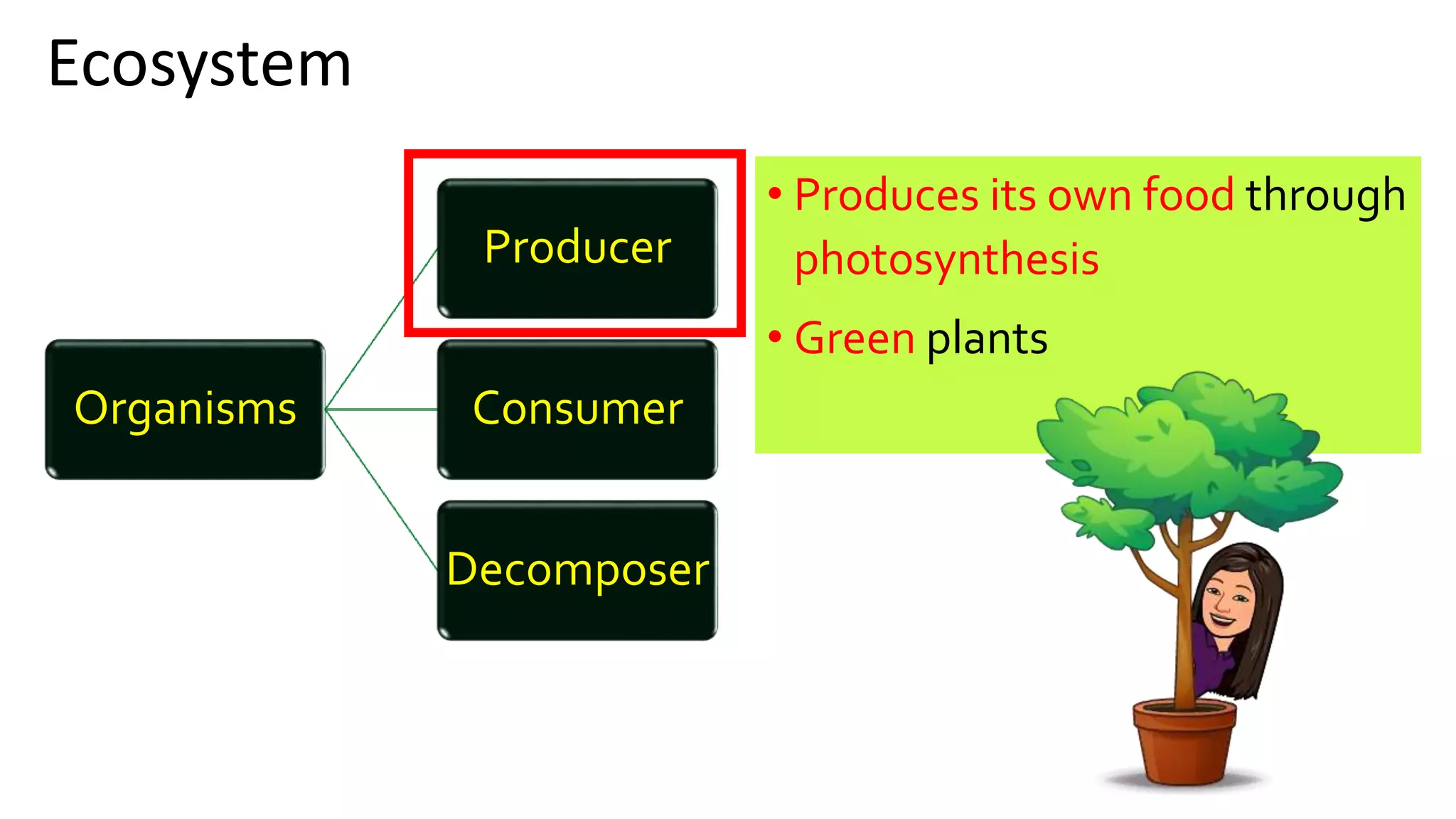 2.1 Energy Flow in an Ecosystem.pptx