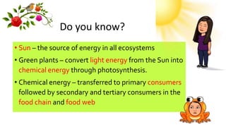 2.1 Energy Flow in an Ecosystem.pptx