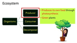 2.1 Energy Flow in an Ecosystem.pptx
