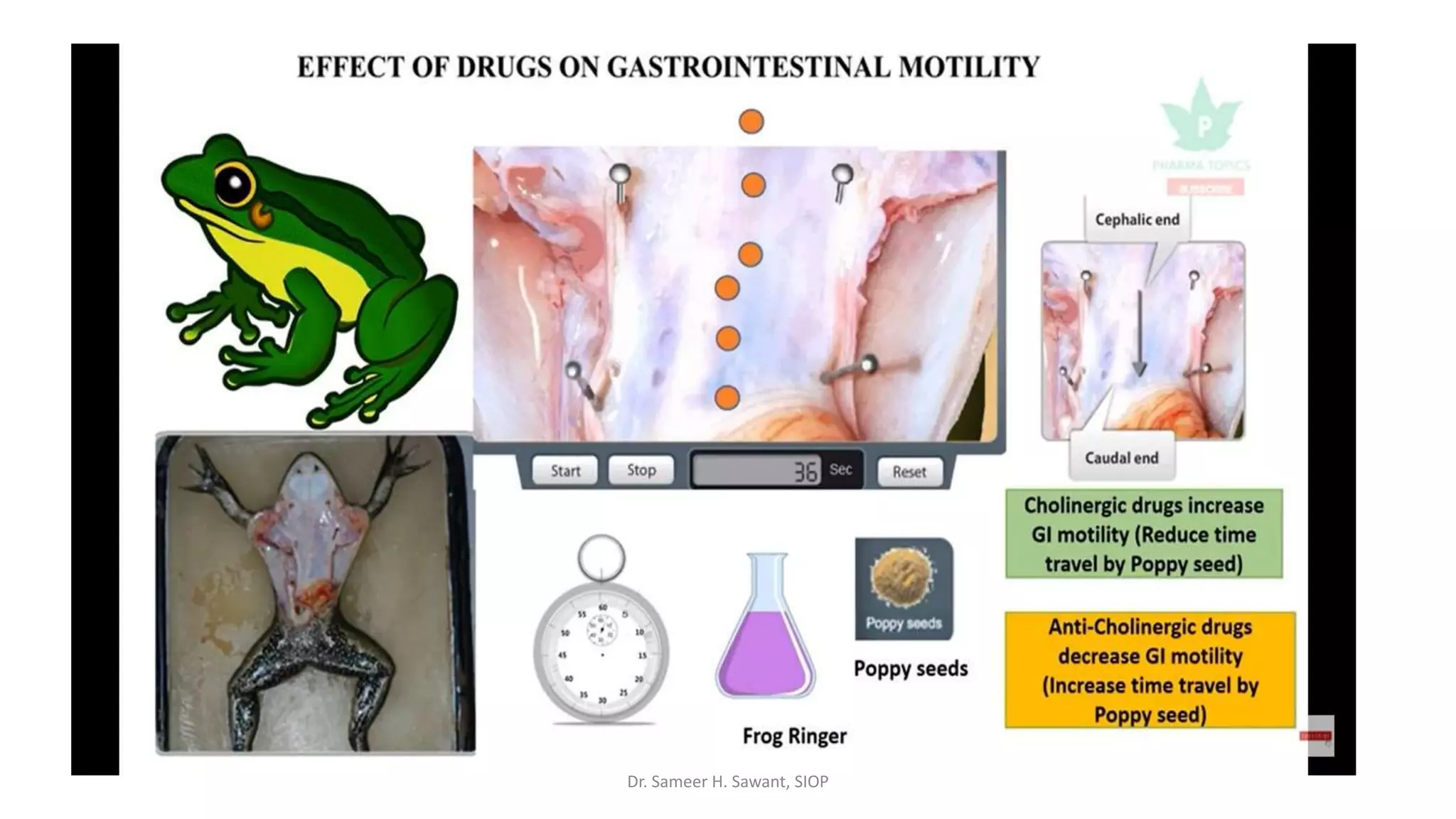 2. To study effect of drugs on gastrointestinal motility Experiment .pptx