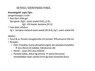 2. Identifikasi Senyawa Fenol.pdf