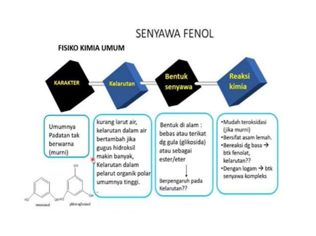 2. Identifikasi Senyawa Fenol.pdf
