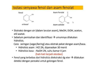 2. Identifikasi Senyawa Fenol.pdf