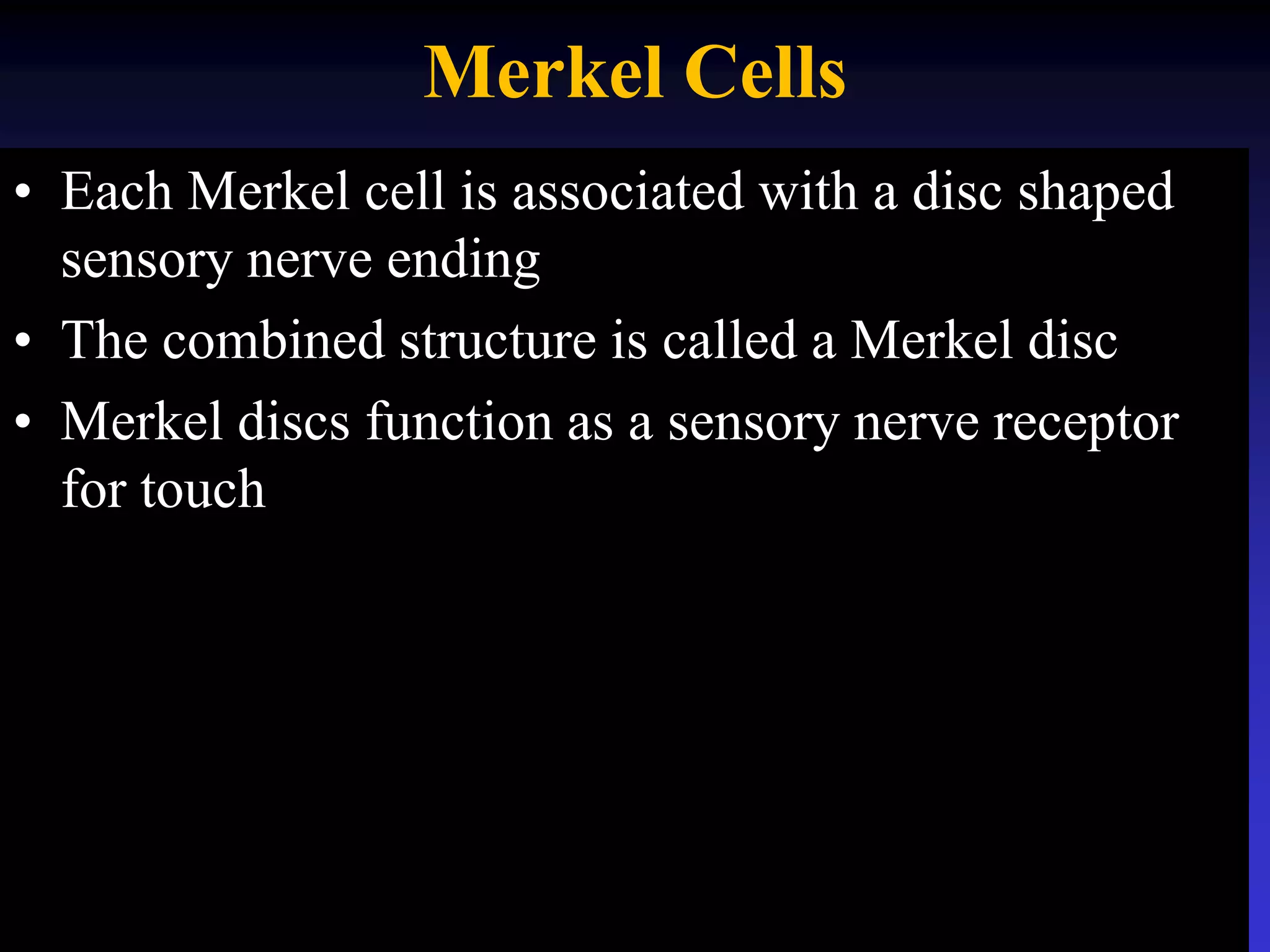 2. Integumentary system .ppt
