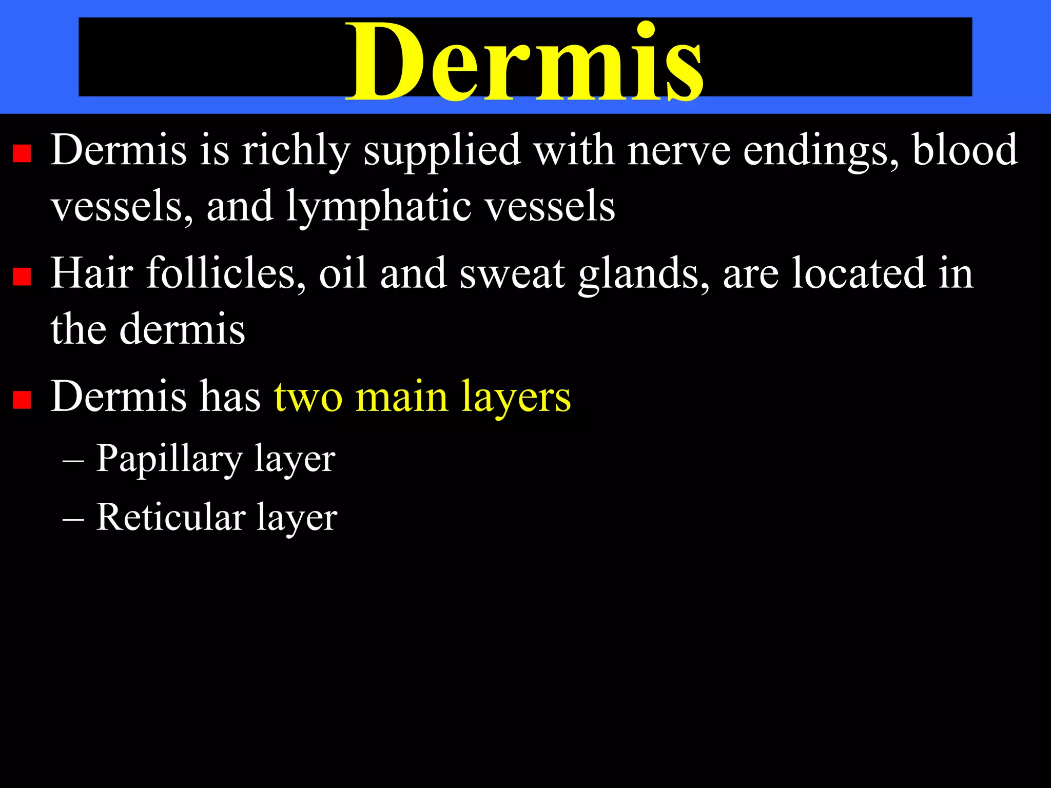 2. Integumentary system .ppt