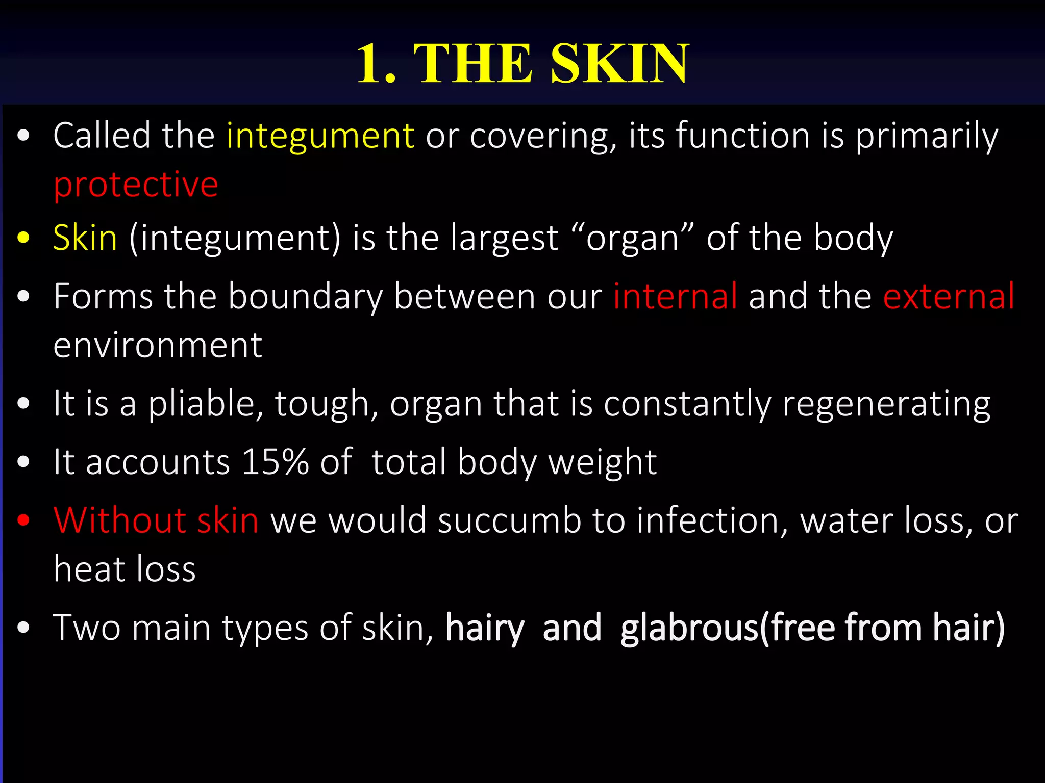 2. Integumentary system .ppt