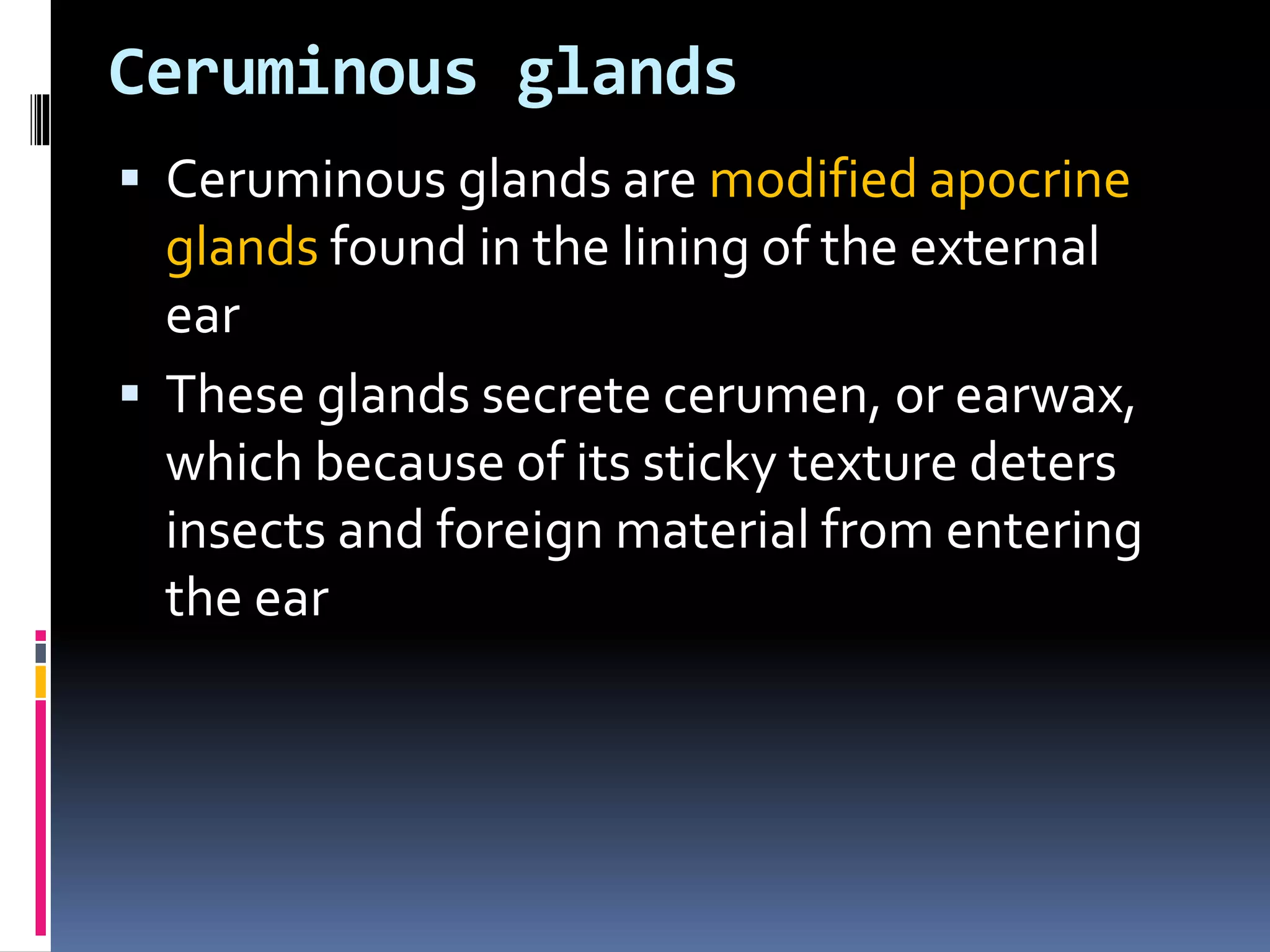 2. Integumentary system .ppt