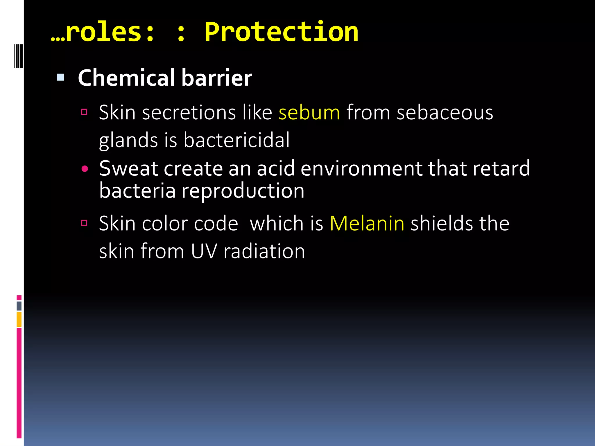 2. Integumentary system .ppt