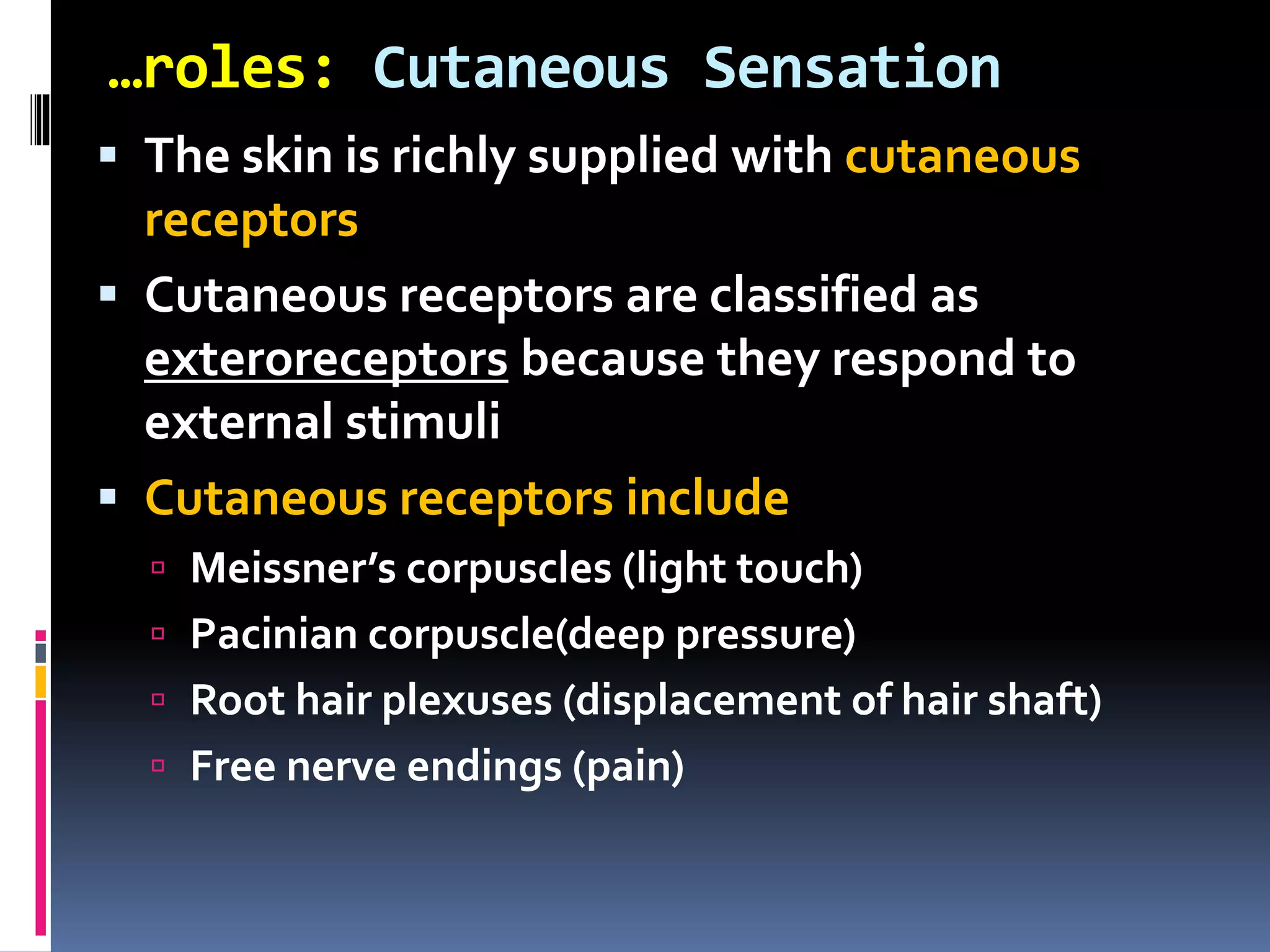 2. Integumentary system .ppt