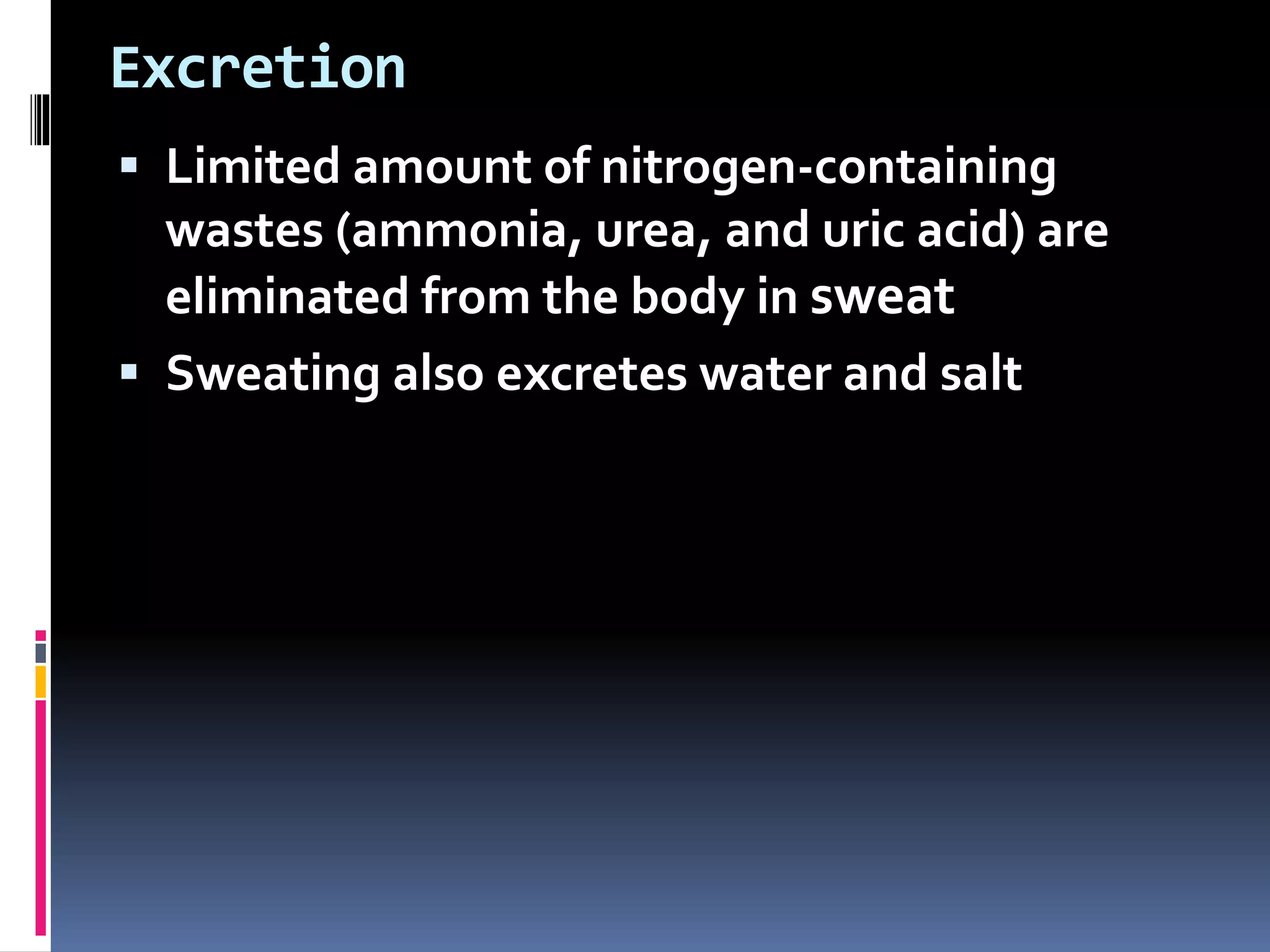 2. Integumentary system .ppt