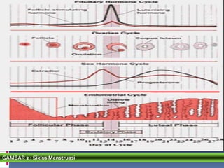 2. Fisiologi haid_Astri.pptx
