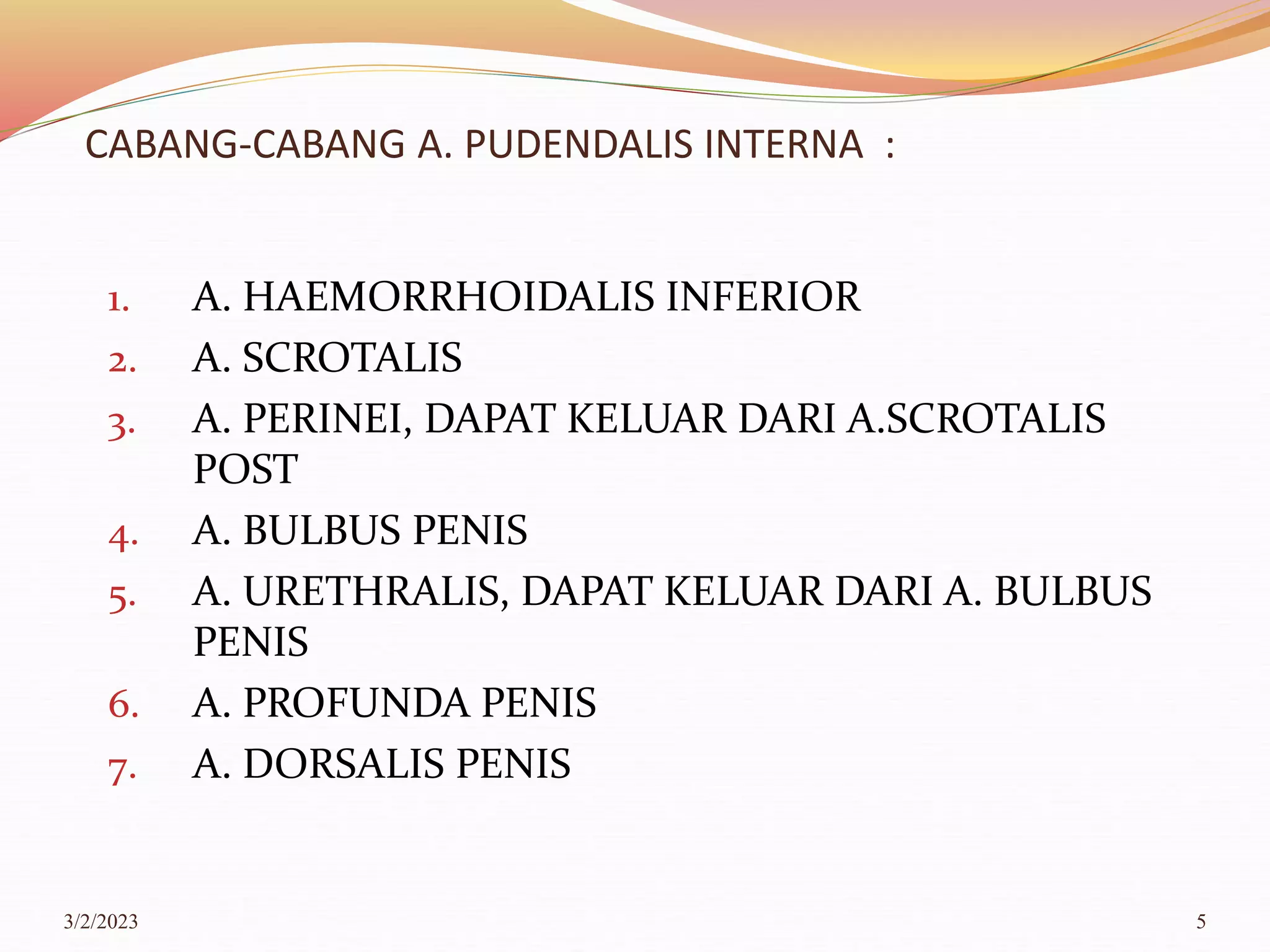 2.SDB - ANATOMI SISTEM VASCULARISASI ORGAN REPRODUKSI PRIA.ppt