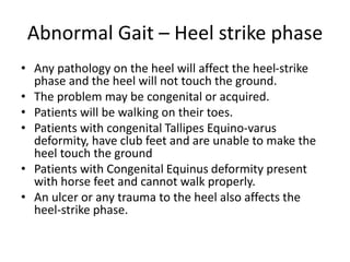 2.The Gait Cycle, Abnormal gait and Examination - Copy (2).pptx