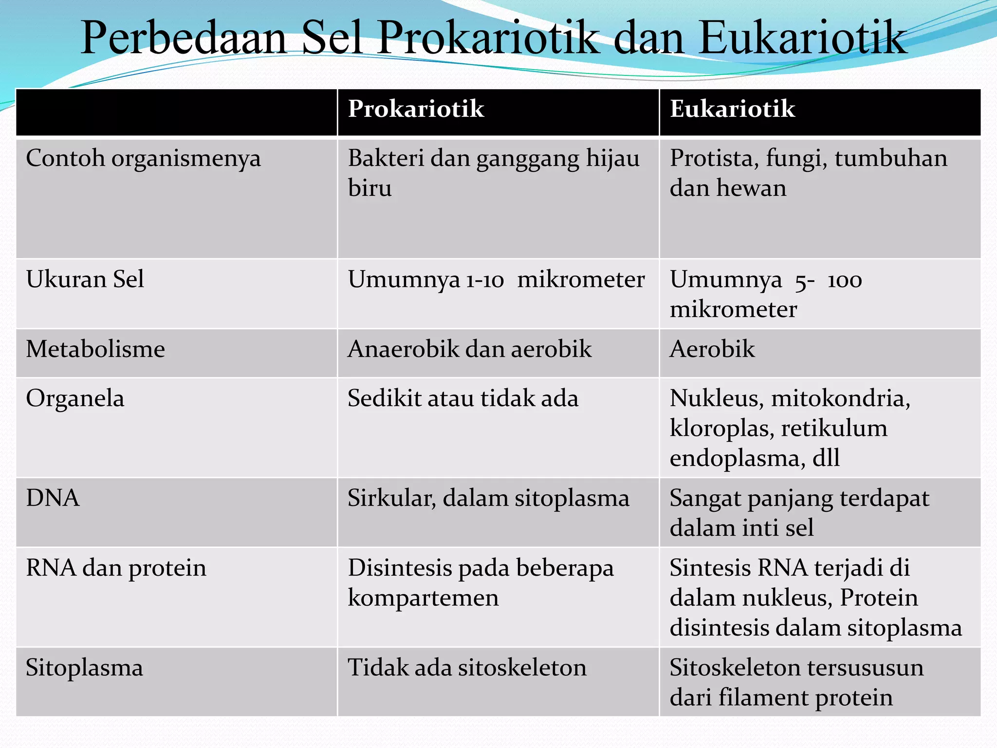 2. SEL PROKARYOT DAN EUKARIOT.pptx
