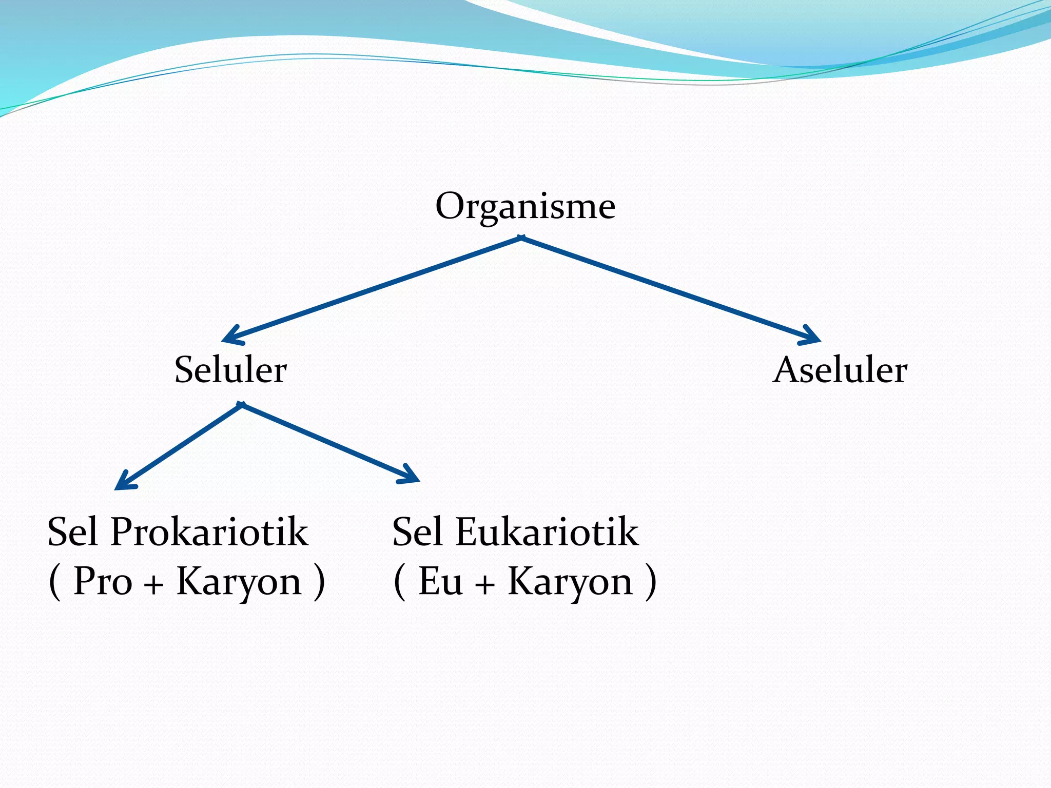 2. SEL PROKARYOT DAN EUKARIOT.pptx