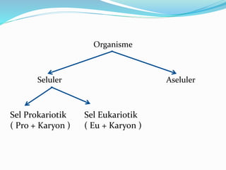 2. SEL PROKARYOT DAN EUKARIOT.pptx