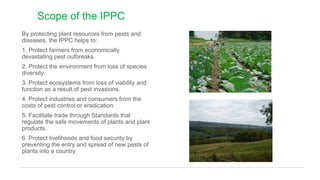 2.-Introduction.pptx