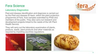 2.-Introduction.pptx