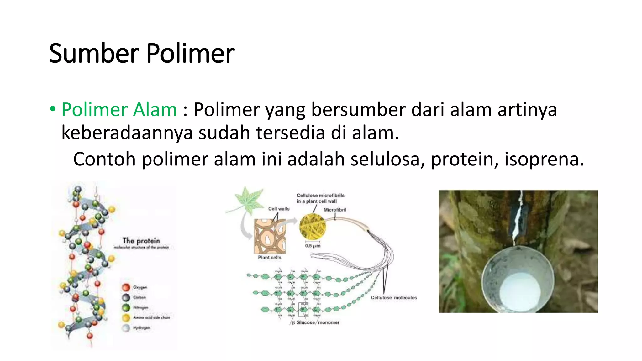 2. Polimer dan Proses Polimerisasi.pptx