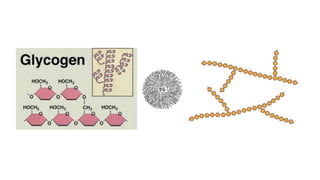 2. Polimer dan Proses Polimerisasi.pptx
