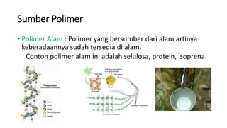 2. Polimer dan Proses Polimerisasi.pptx