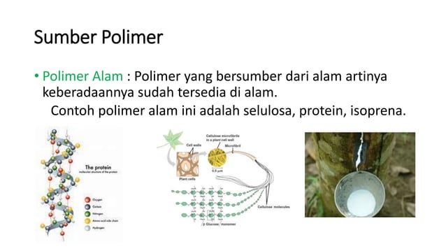 2. Polimer dan Proses Polimerisasi.pptx