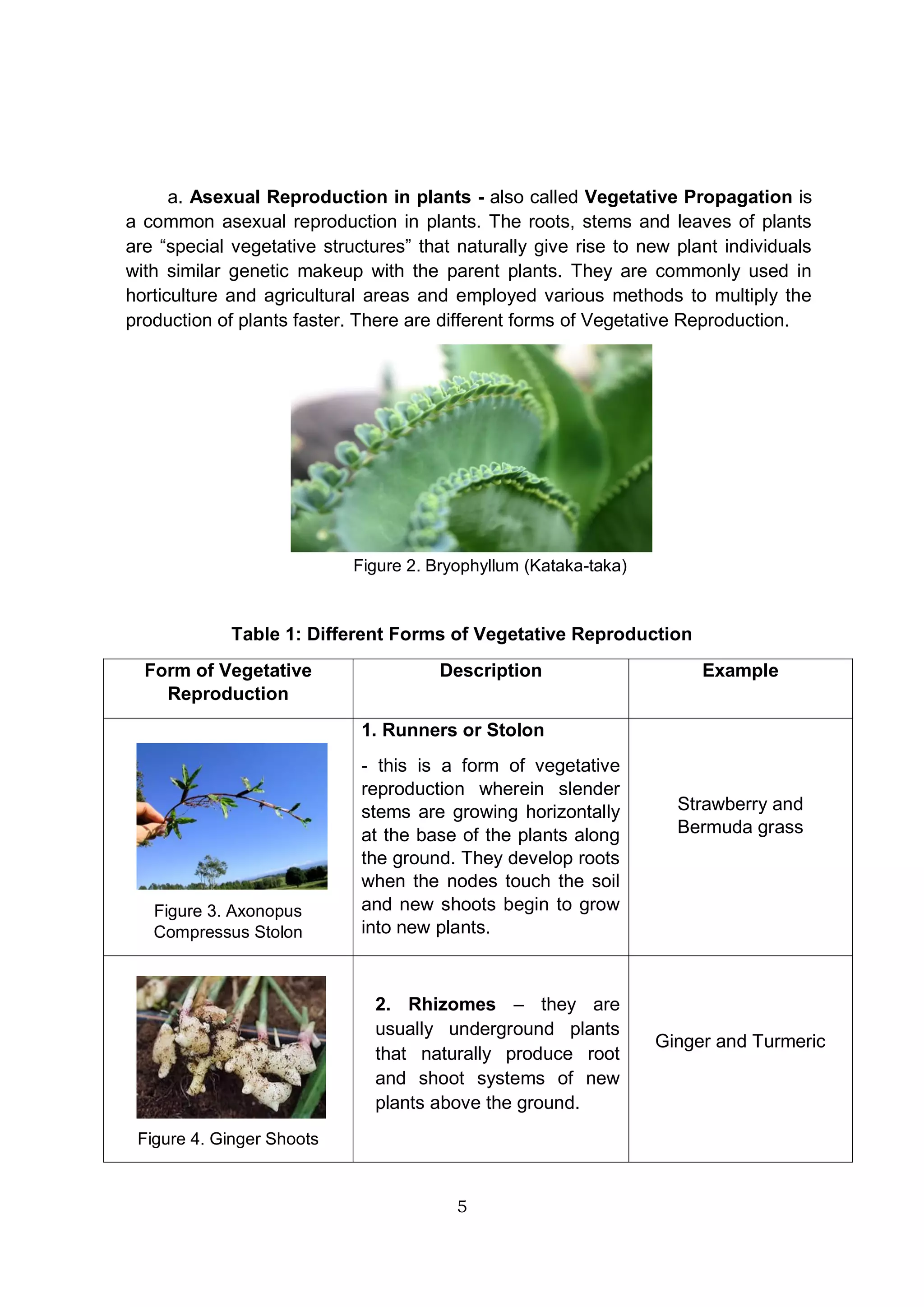2. Grade-7-Q2-Module-3-Asexual-Reproduction-2nd-Ed.pdf