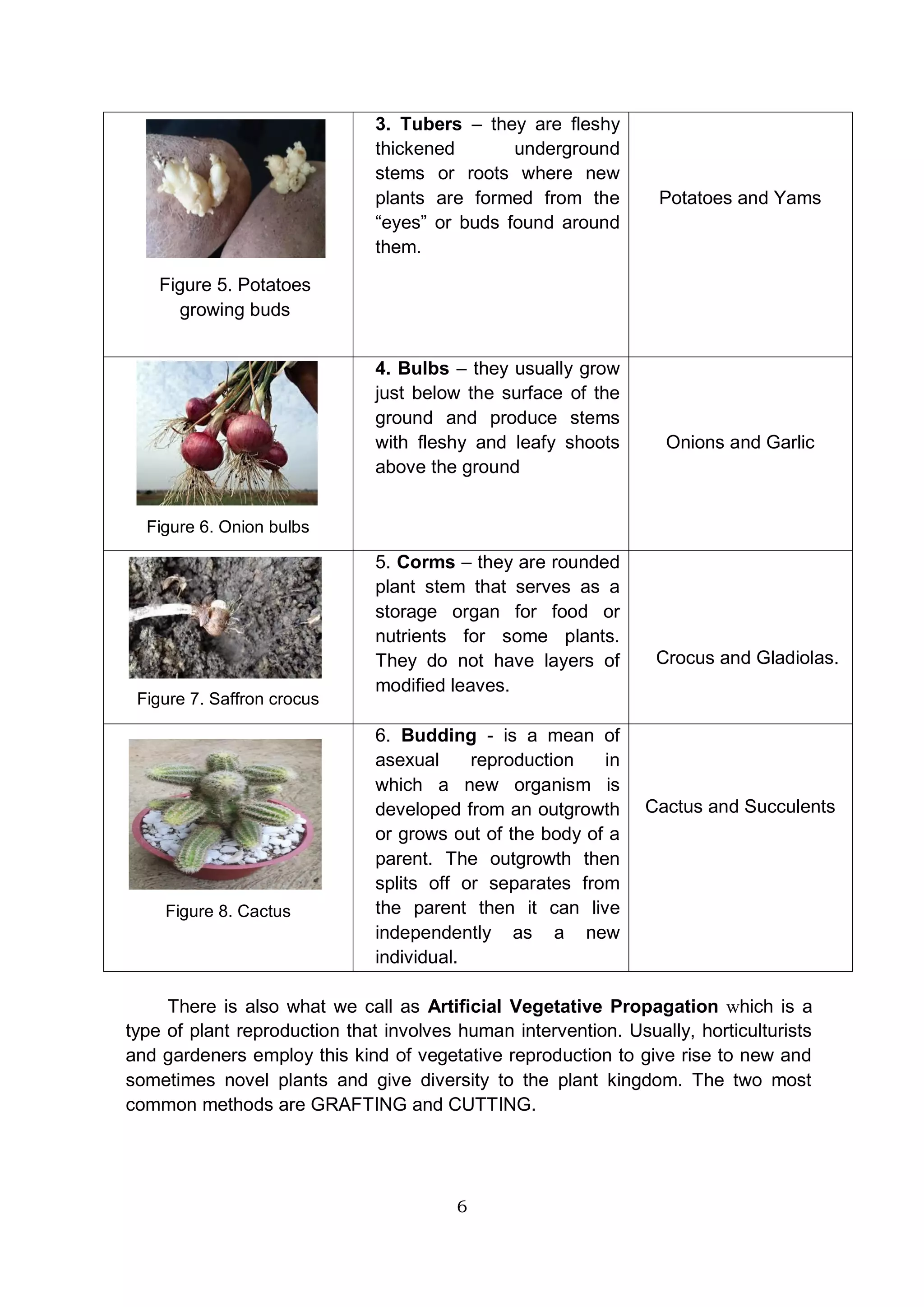 2. Grade-7-Q2-Module-3-Asexual-Reproduction-2nd-Ed.pdf