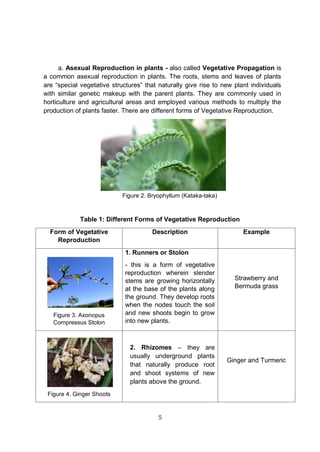 2. Grade-7-Q2-Module-3-Asexual-Reproduction-2nd-Ed.pdf